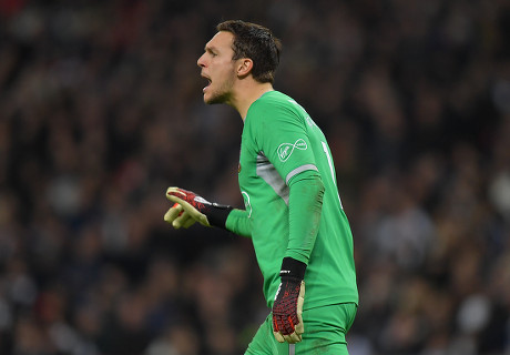 Southampton Goalkeeper Alex Mccarthy Editorial Stock Photo - Stock ...