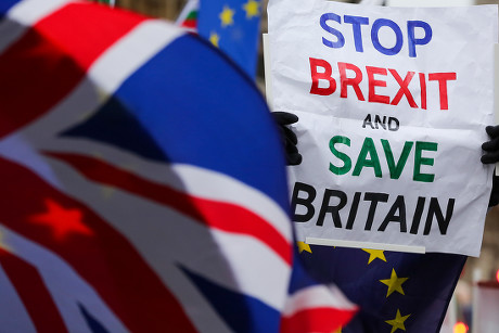 Protesters Leave Remain Campaigns Stage Demonstration Editorial Stock ...