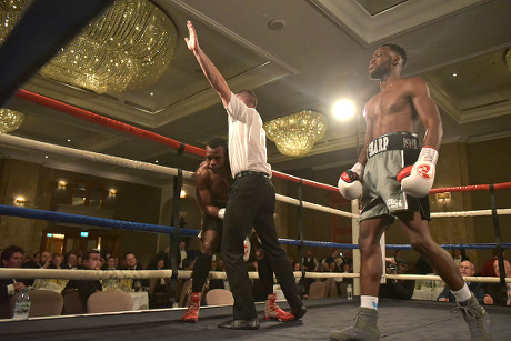 __COUNT__ British Warrior Boxing Promotions Show, Boxing, Hilton Hotel ...