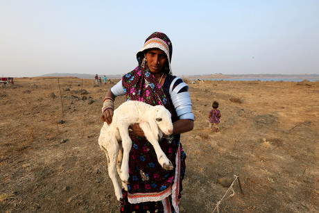 Nomadic Tribal Woman Indian State Rajasthan Editorial Stock Photo ...