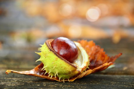 46 Shell burst Stock Pictures, Editorial Images and Stock Photos ...
