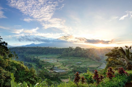 View Rice Terraces Gunung Agung Volcano Editorial Stock Photo - Stock ...