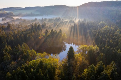 500 Fog patch Stock Pictures, Editorial Images and Stock Photos ...