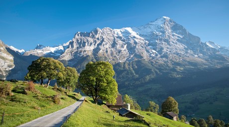 3,000 Grindelwald Stock Pictures, Editorial Images and Stock Photos ...