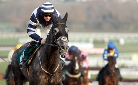 Elixir De Nutz Harry Cobden Wins Editorial Stock Photo - Stock Image ...