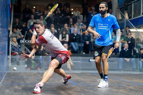 Squash Germany 1 Bundesliga Nord Sportwerk Editorial Stock Photo ...