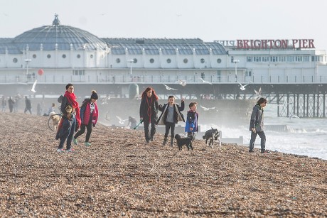 __COUNT__ imágenes de Seasonal weather, Brighton, UK - 22 Dec 2018 ...