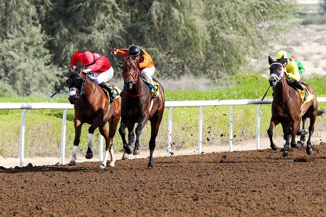 Dubai Horse Racing, Jebel Ali Racecourse, Dubai, United Arab Emirates ...