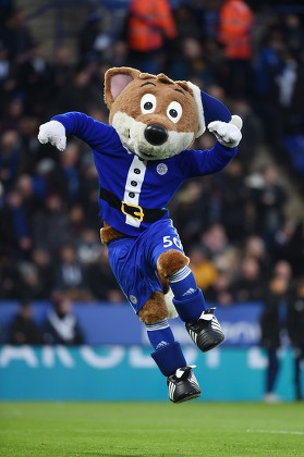 Filbert Fox Celebrates Before Kick Off Editorial Stock Photo - Stock ...
