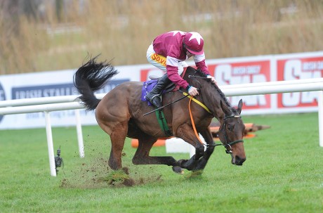 8 Horse stumble Stock Pictures, Editorial Images and Stock Photos ...