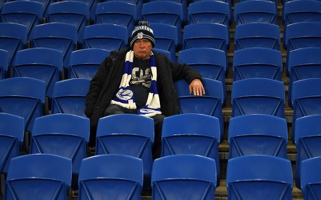 __COUNT__ Cardiff City v Tottenham Hotspur, Premier League, Football ...