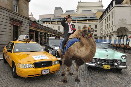 7 Camel taxi Stock Pictures, Editorial Images and Stock Photos ...