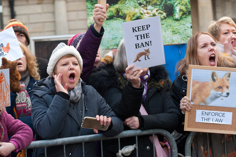 Anti Fox Hunting Protest, Carmarthenshire, Wales, UK - 01 Jan 2019 ...