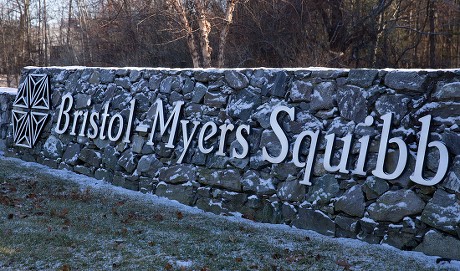 General View On Bristolmyers Squibb Campus Editorial Stock Photo ...