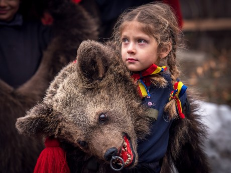 YOUNG WOMAN DRESSED HER BEAR SKIN Editorial Stock Photo - Stock Image ...