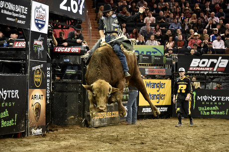 Professional Bull Riders Monster Energy Buck Off, New York, USA - 04 ...