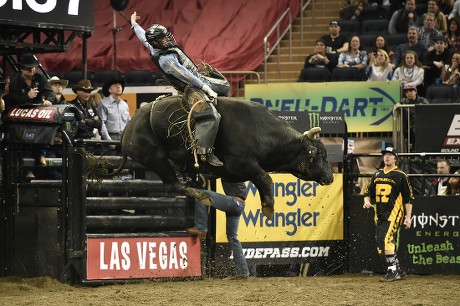 Professional Bull Rider Competes Monster Energy Editorial Stock Photo ...