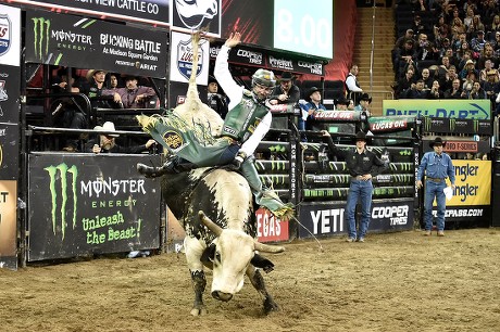 Professional Bull Riders Monster Energy Buck Off, New York, USA - 06 ...