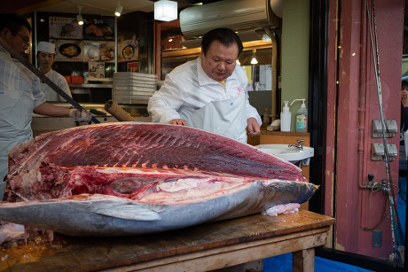 Record price paid for Bluefin Tuna at Tsukiji fish market, Tokyo, Japan ...