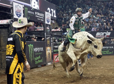 Bull Rider Cooper Davis Rides Maybe Editorial Stock Photo - Stock Image ...