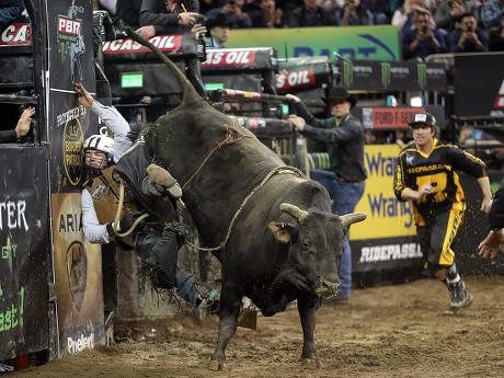 __COUNT__ 'Unleash The Beast' rodeo, Madison Square Garden, New York ...