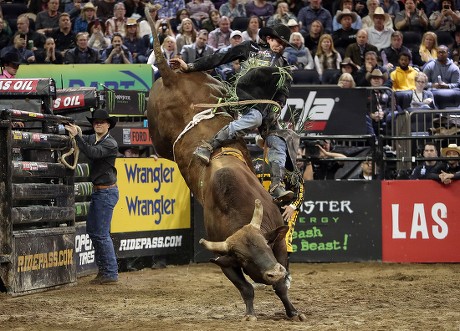__COUNT__ 'Unleash The Beast' rodeo, Madison Square Garden, New York ...