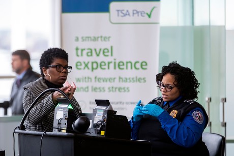 Transportation Security Agency Tsa Agent Checks Editorial Stock Photo ...