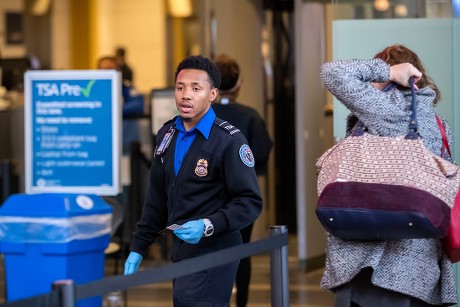 Transportation Security Agency Tsa Agent Checks Editorial Stock Photo ...