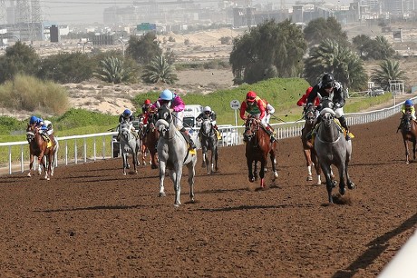 Dubai Horse Racing, Jebel Ali Racecourse, Dubai, United Arab Emirates ...