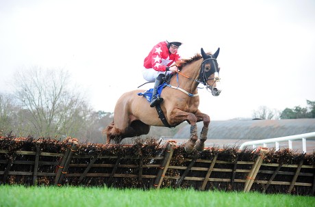 Clonmel Thereisnodoubt Eoin Oconnell Win Lisronagh Editorial Stock ...