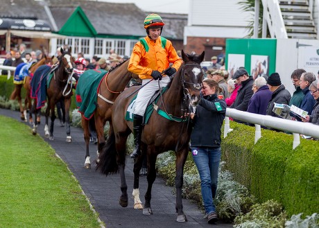 Jockey Rex Dingle Catterick Races Accepts Editorial Stock Photo - Stock ...