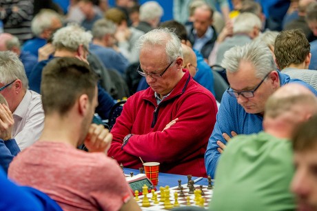 Chess Fans Playing Chess Editorial Stock Photo - Stock Image | Shutterstock