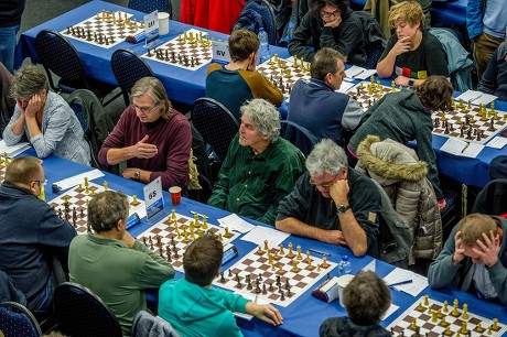 Chess Fans Playing Chess Editorial Stock Photo - Stock Image | Shutterstock