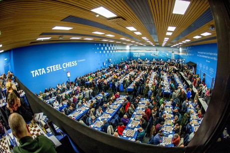 Chess Fans Playing Editorial Stock Photo - Stock Image | Shutterstock