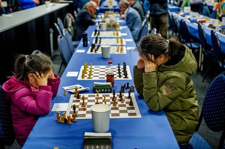 Chess Fans Playing Editorial Stock Photo - Stock Image | Shutterstock
