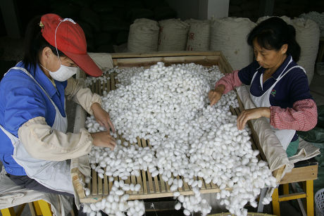 26 Textile manufacturing plant Stock Pictures, Editorial Images and ...