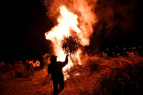 Man Throws Tree Into Fire Police Editorial Stock Photo - Stock Image ...