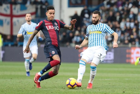 __COUNT__ Spal 2013 vs Bologna FC, Ferrara, Italy - 20 Jan 2019 Stock ...