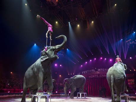 Artists Perform Editorial Stock Photo - Stock Image | Shutterstock