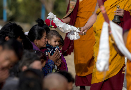 Group Buddhist Rinpoche Along Tibetan Buddhist Editorial Stock Photo ...