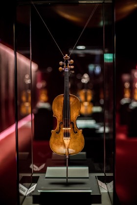 Museum Violin Laboratory Analysis Materials Editorial Stock Photo ...