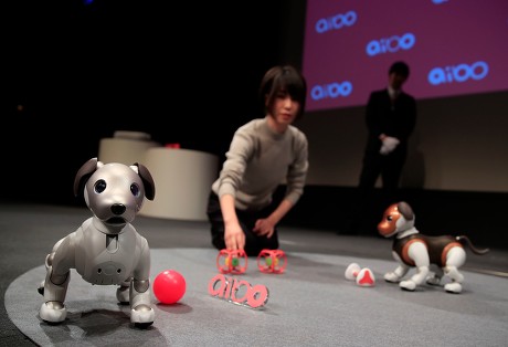 sony announced new color variant aibo robot Stock Photos (Exclusive ...