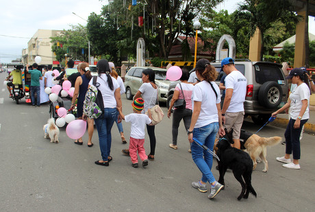 Filipino Pet Lovers Their Dogs Participate Editorial Stock Photo ...