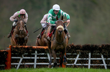 Gowran Park Racing, Gowran Park Racecourse, Kilkenny - 24 Jan 2019 Stock Pictures, Editorial ...
