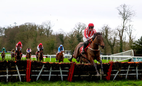 Gowran Park Racing, Gowran Park Racecourse, Kilkenny - 24 Jan 2019 Stock Pictures, Editorial ...