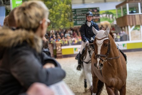 People Visit Animal Show Presenting Horses Editorial Stock Photo ...