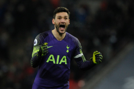 Hugo Lloris Tottenham Hotspur Celebrates Fernando Editorial Stock Photo ...