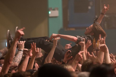 Beartooth Oshie Bichar Connor Denis Caleb Editorial Stock Photo - Stock ...