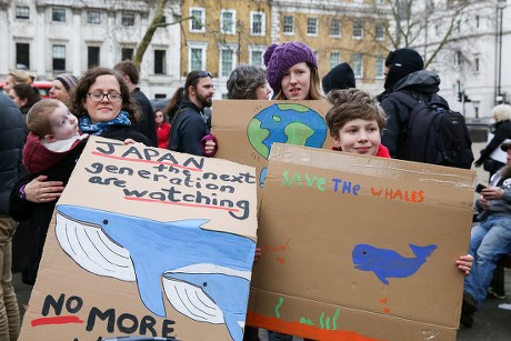Anti-Whaling protest, London, UK - 26 Jan 2019 Stock Pictures ...