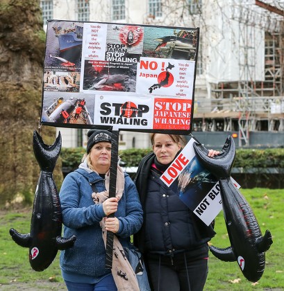Anti-Whaling protest, London, UK - 26 Jan 2019 Stock Pictures ...